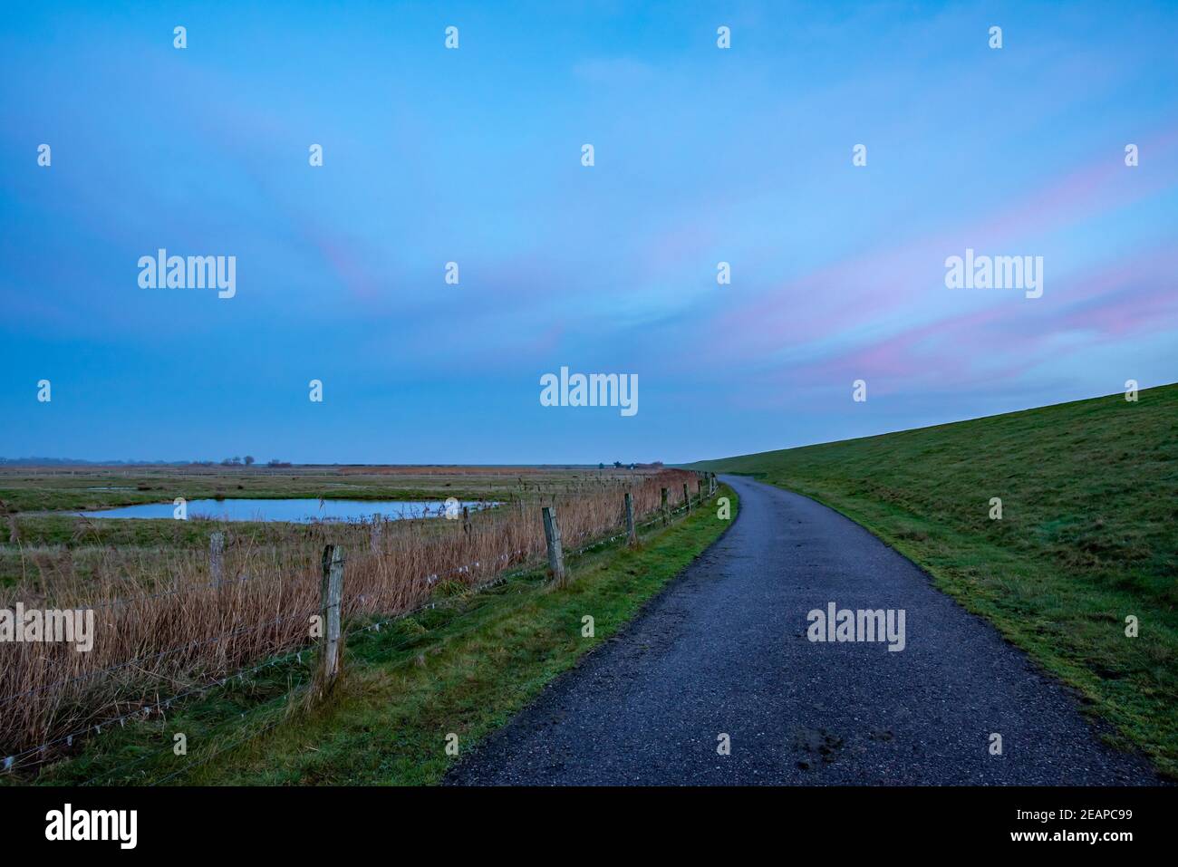 Path protection hi-res stock photography and images - Alamy