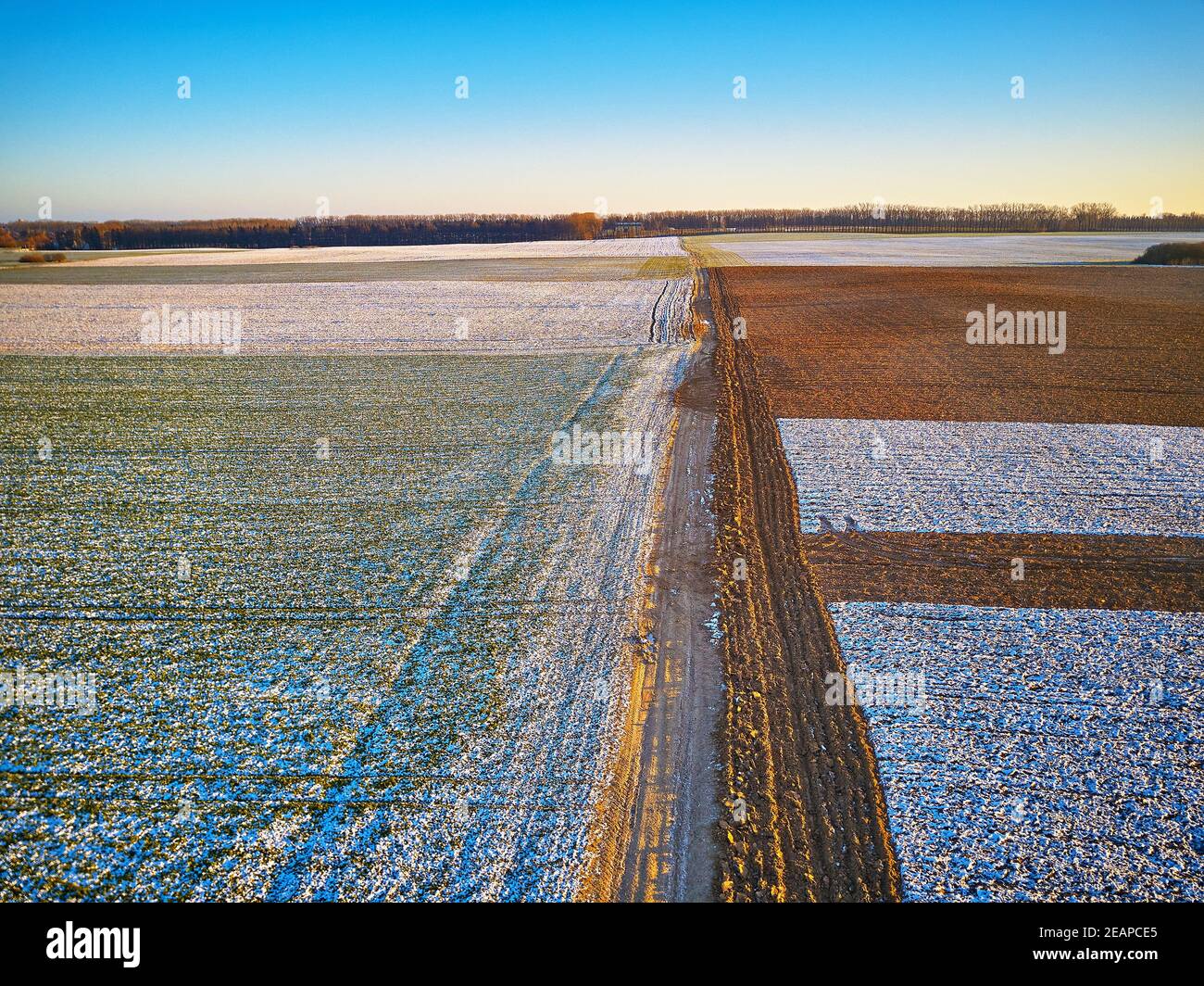 Field snow winter hi-res stock photography and images - Alamy