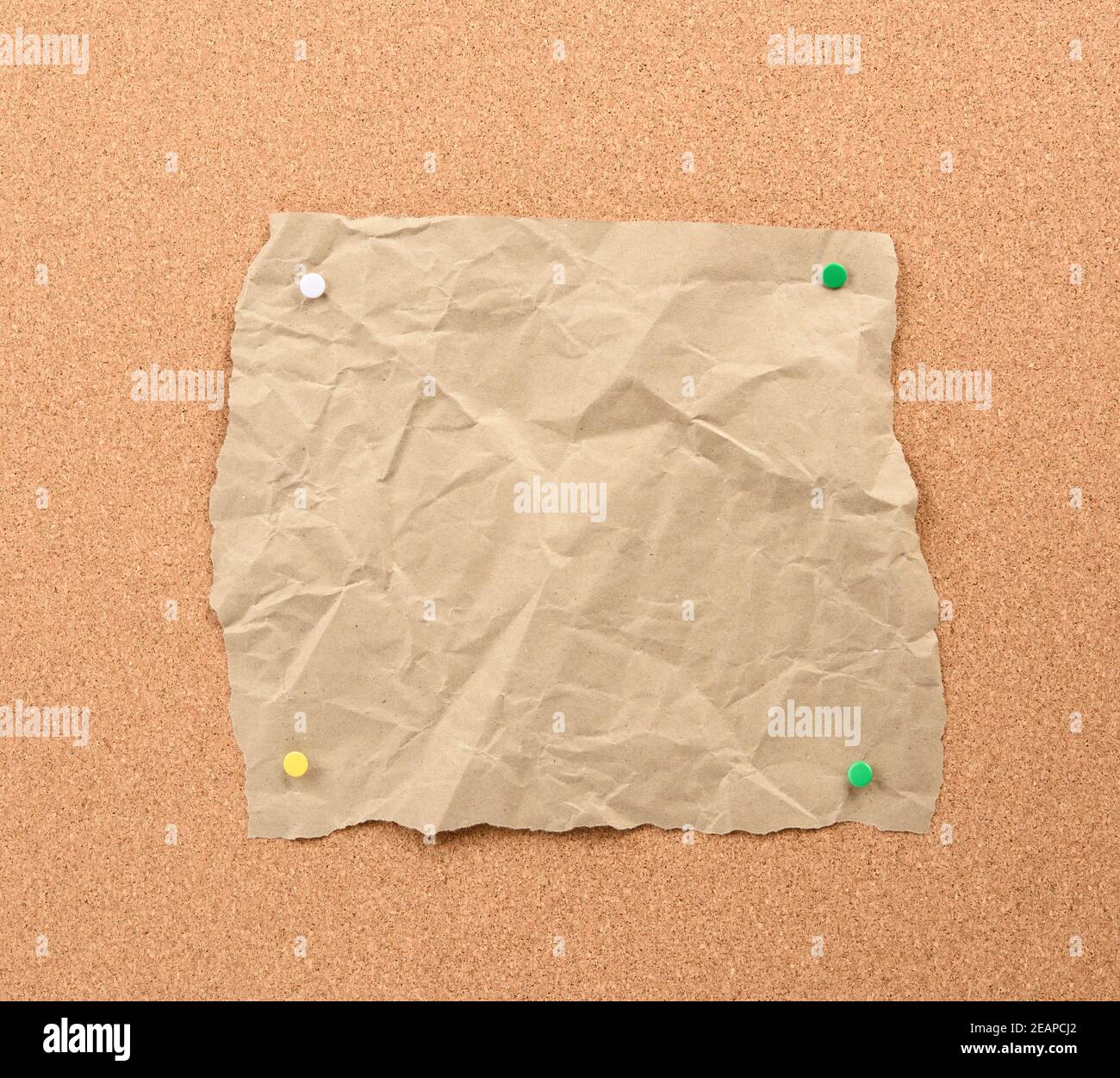 brown piece of torn paper pinned with iron buttons on a brown cork ...