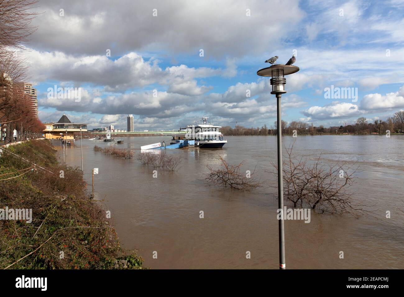 Cologne, Germany, February 4th. 2021, flood of the river Rhine, in the ...