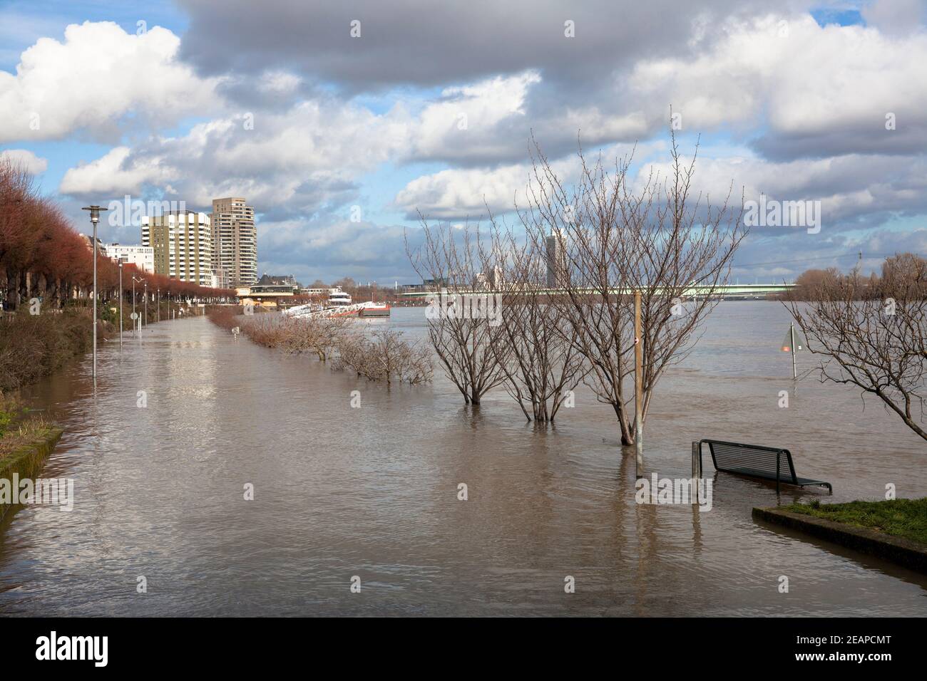 Cologne, Germany, February 4th. 2021, flood of the river Rhine, in the ...