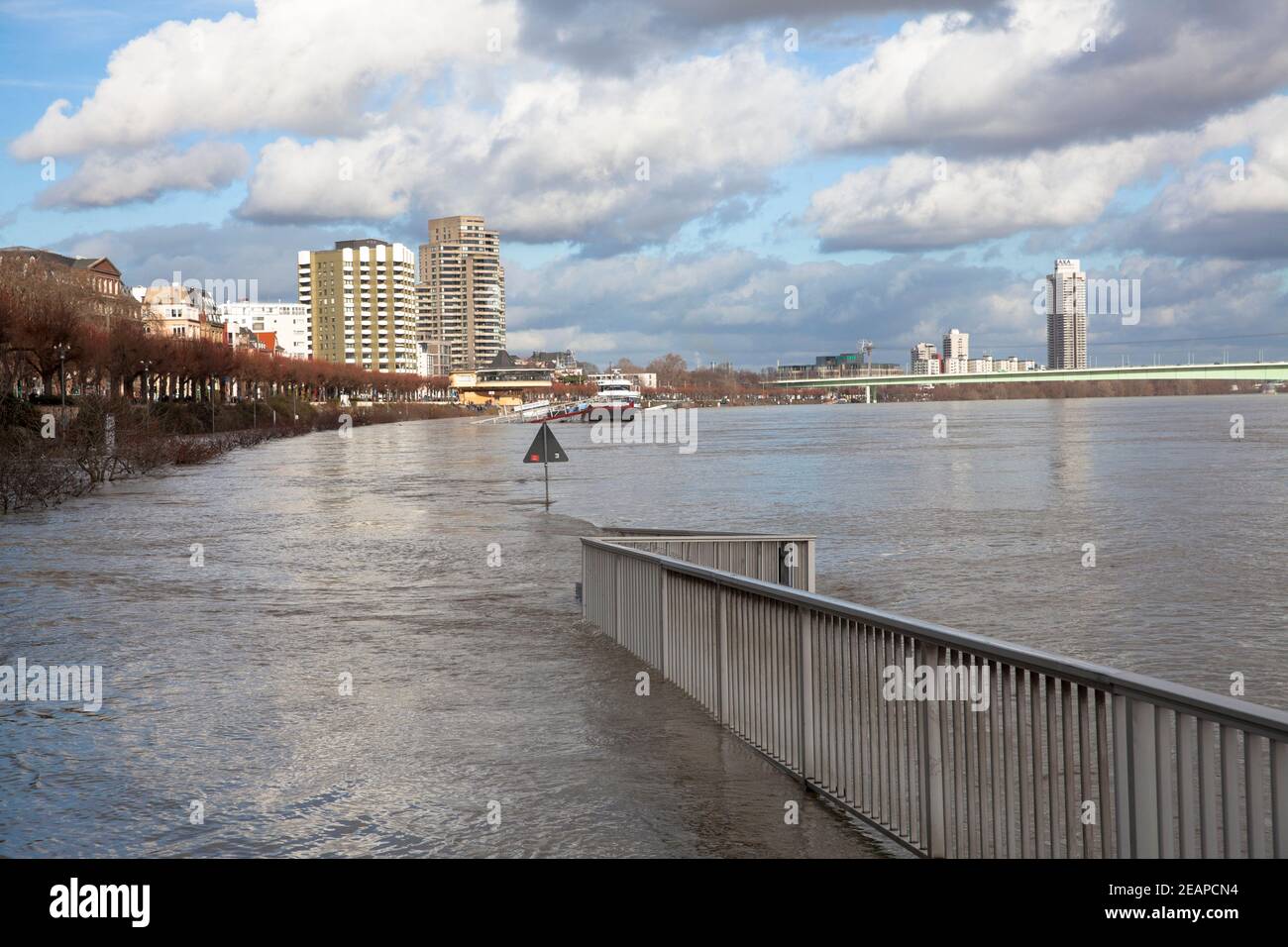Cologne, Germany, February 4th. 2021, flood of the river Rhine, in the ...