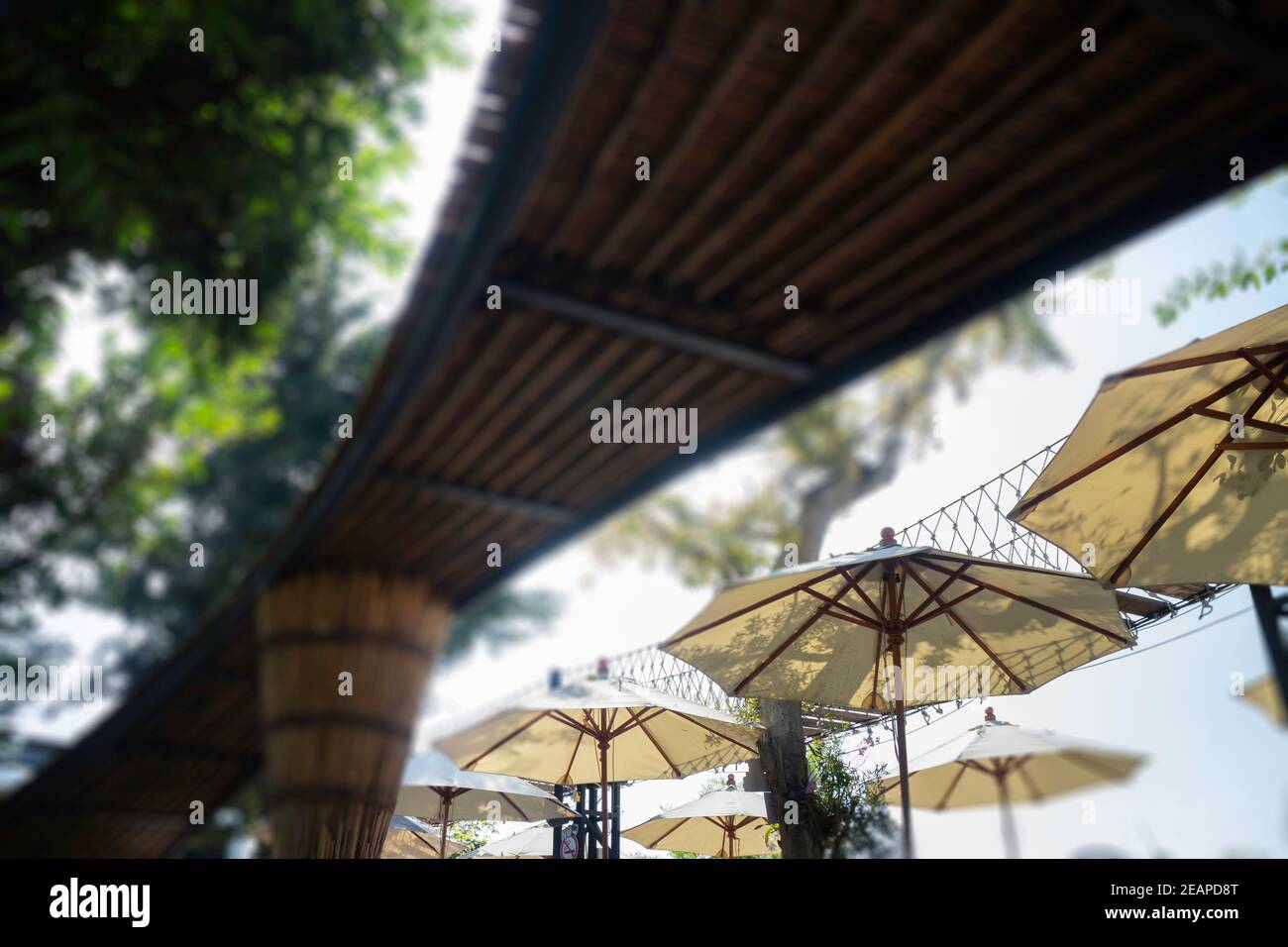 Bamboo roof in rice field resort Stock Photo - Alamy