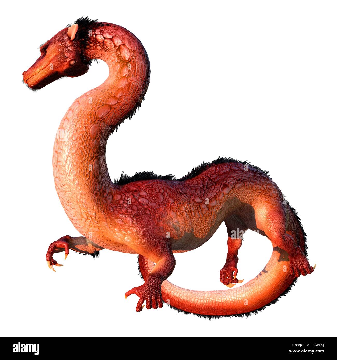 3D Rendering Eastern Dragon on White Stock Photo - Alamy