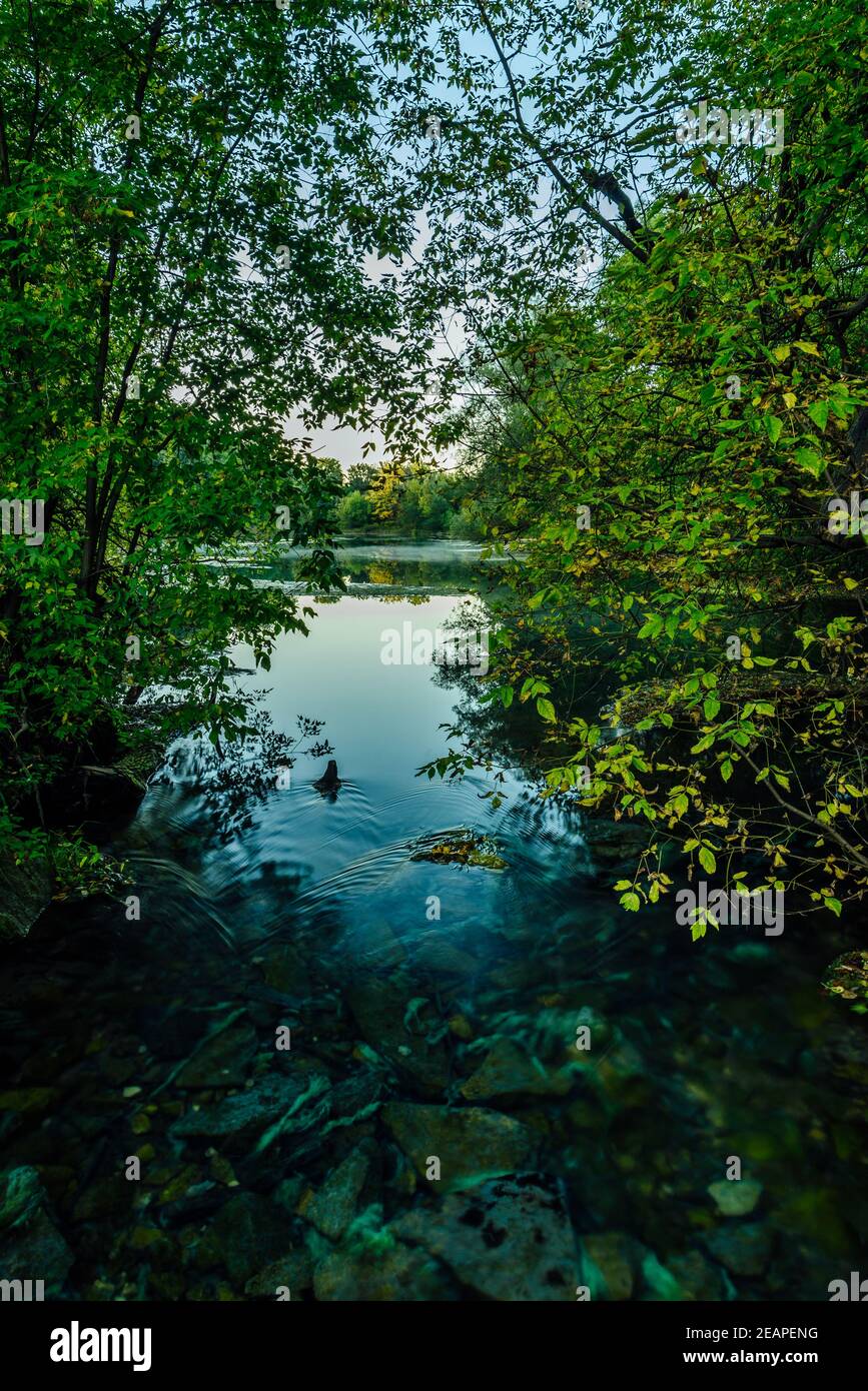 Little blue river hi-res stock photography and images - Alamy