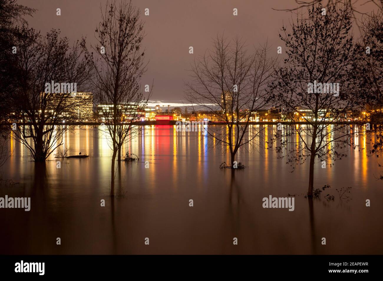 flood of the river Rhine on February 4th. 2021, the flooded meadow in ...