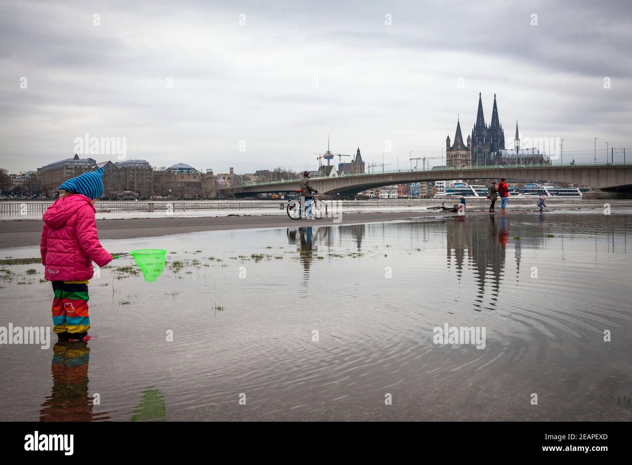 flooding of the Rhine on February 5th. 2021, view from the flooded bank ...