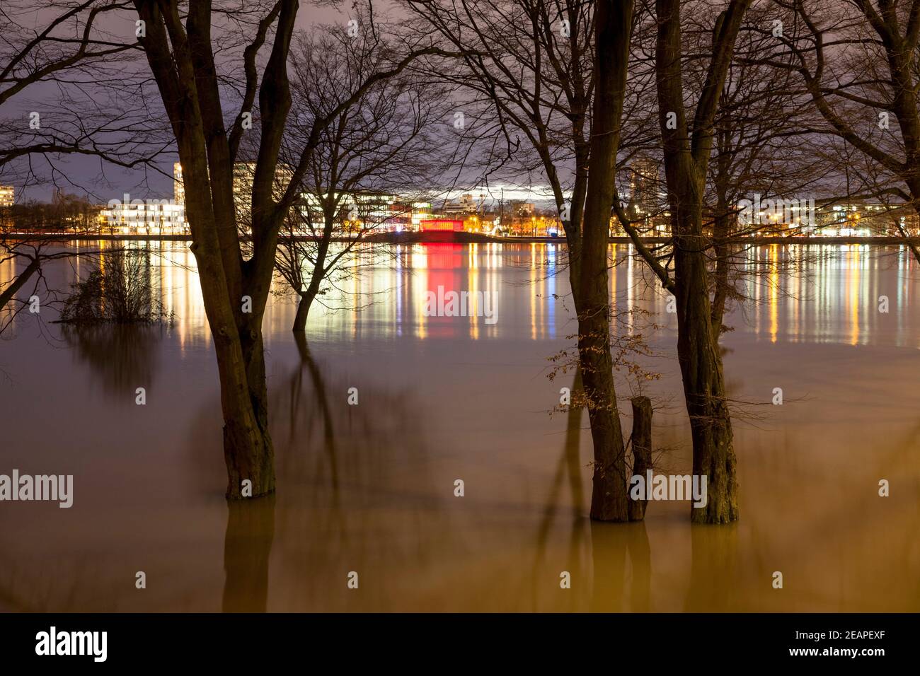 flood of the river Rhine on February 4th. 2021, the flooded meadow in ...