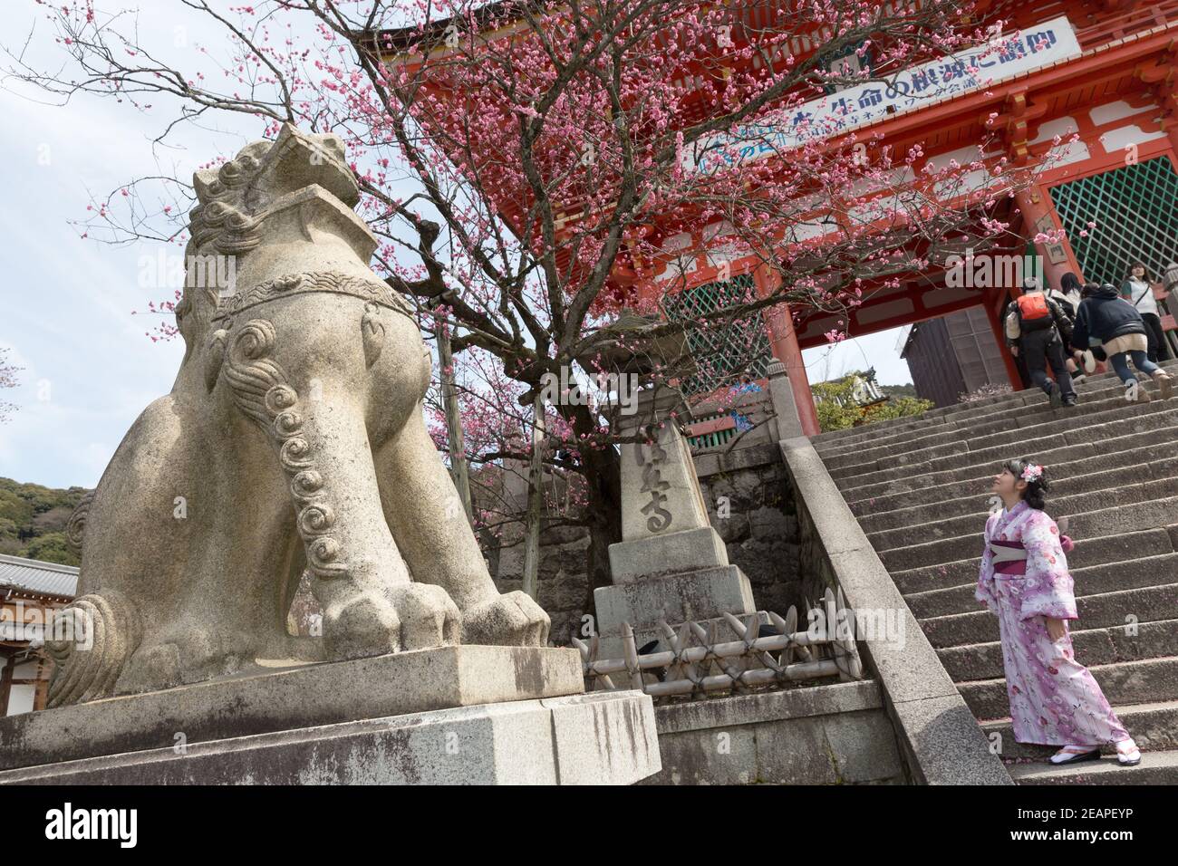 Kyoto Japan Woman in Traditional Kimono looking at lion-dog guardian in ...