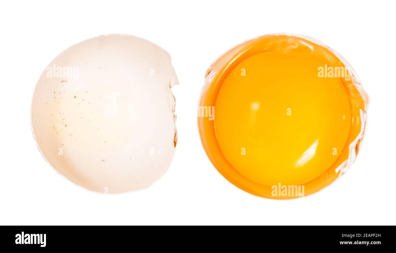 separated egg yolk in shell and empty shell Stock Photo - Alamy