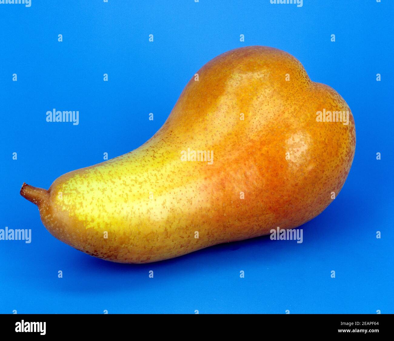 Birnen am baum hi-res stock photography and images - Alamy