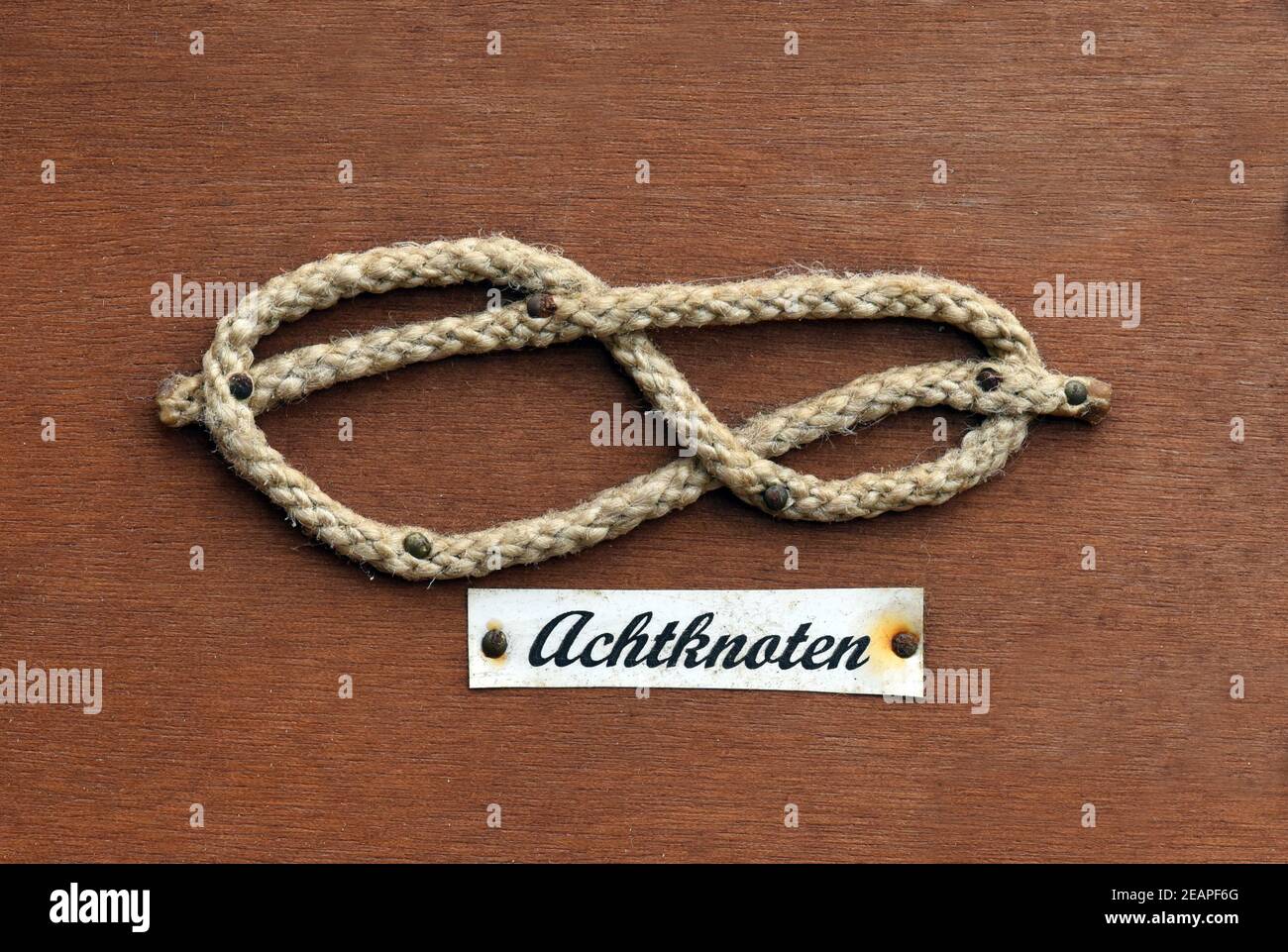 Knotenkunde hi-res stock photography and images - Alamy