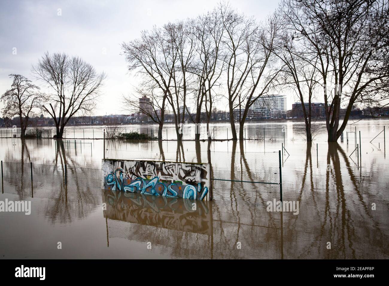 flood of the Rhine on February 5th. 2021, flooded tennis courts and ...
