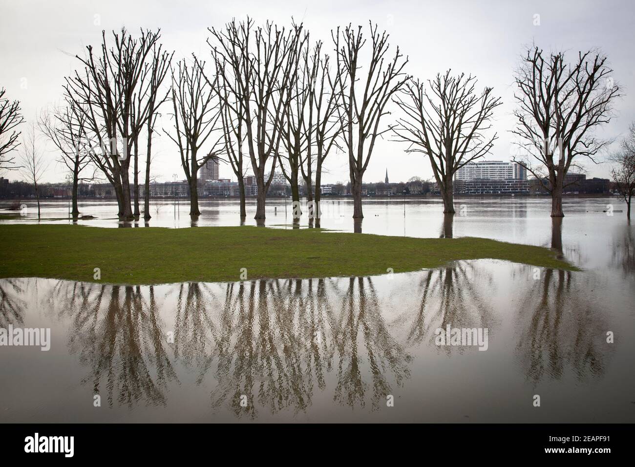 flood of the river Rhine on February 5th. 2021, the flooded meadow in ...
