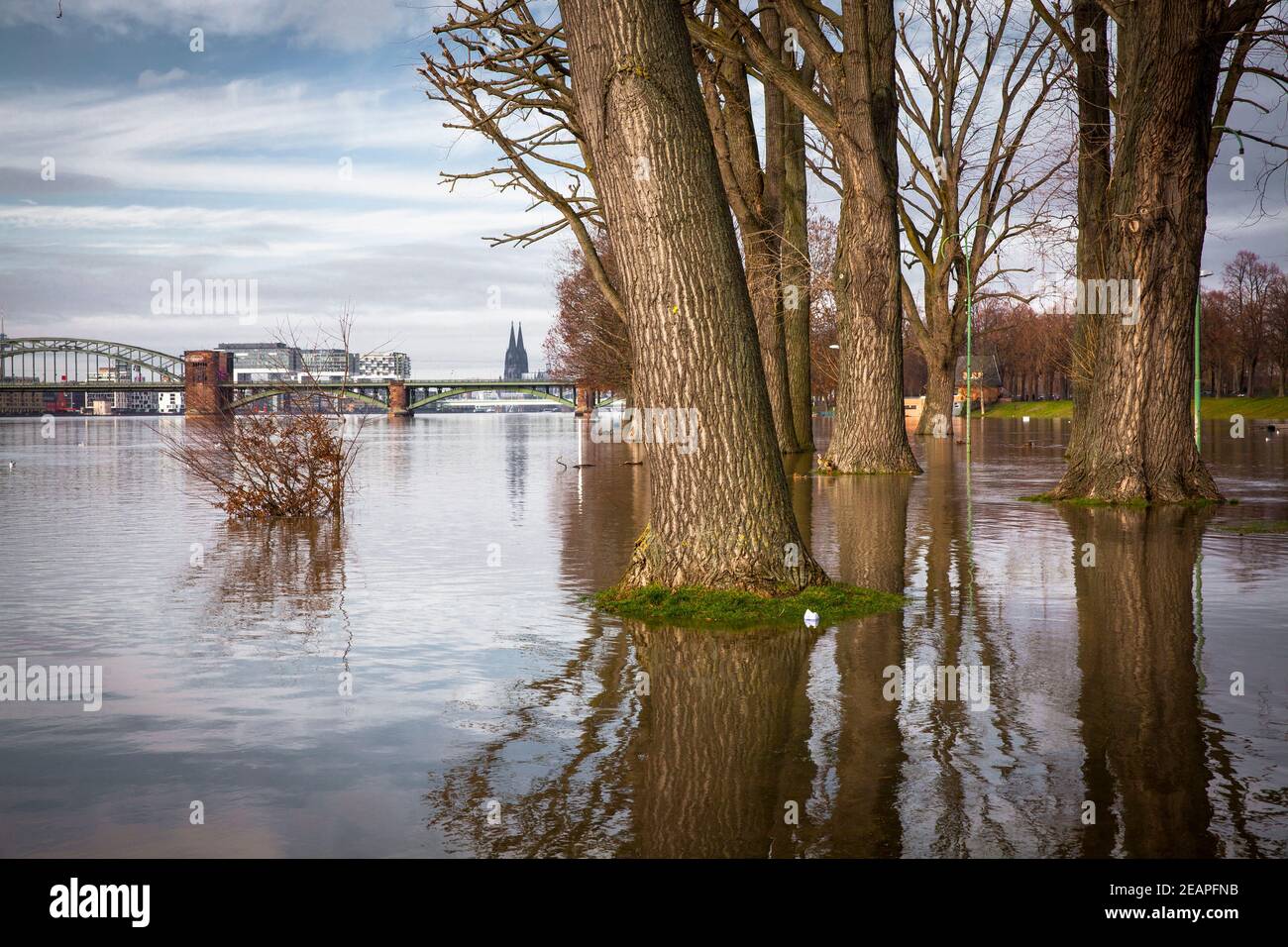 Flood germany 2021 hi-res stock photography and images - Alamy