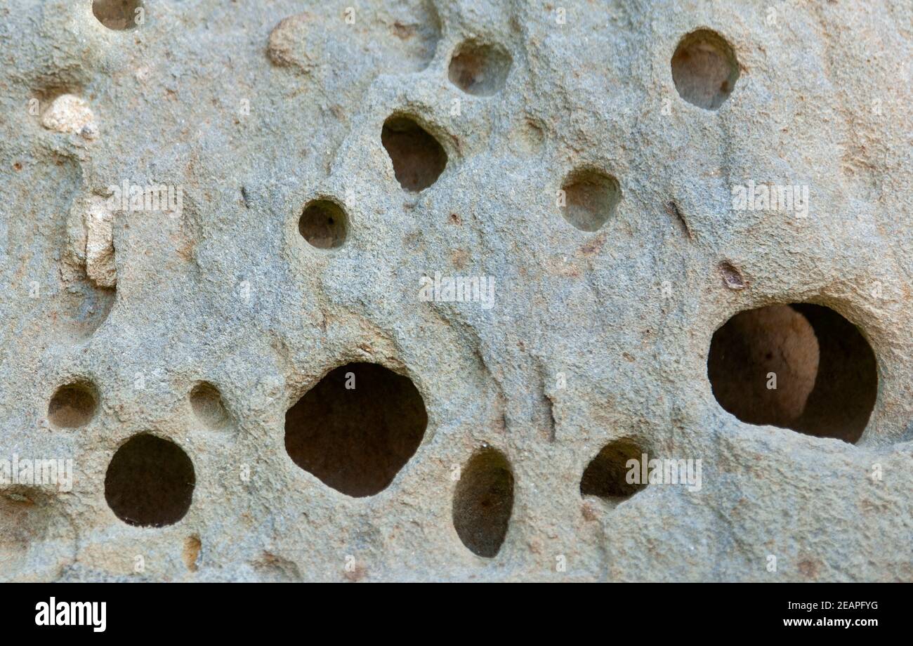 rock perforated by weather erosion Stock Photo - Alamy