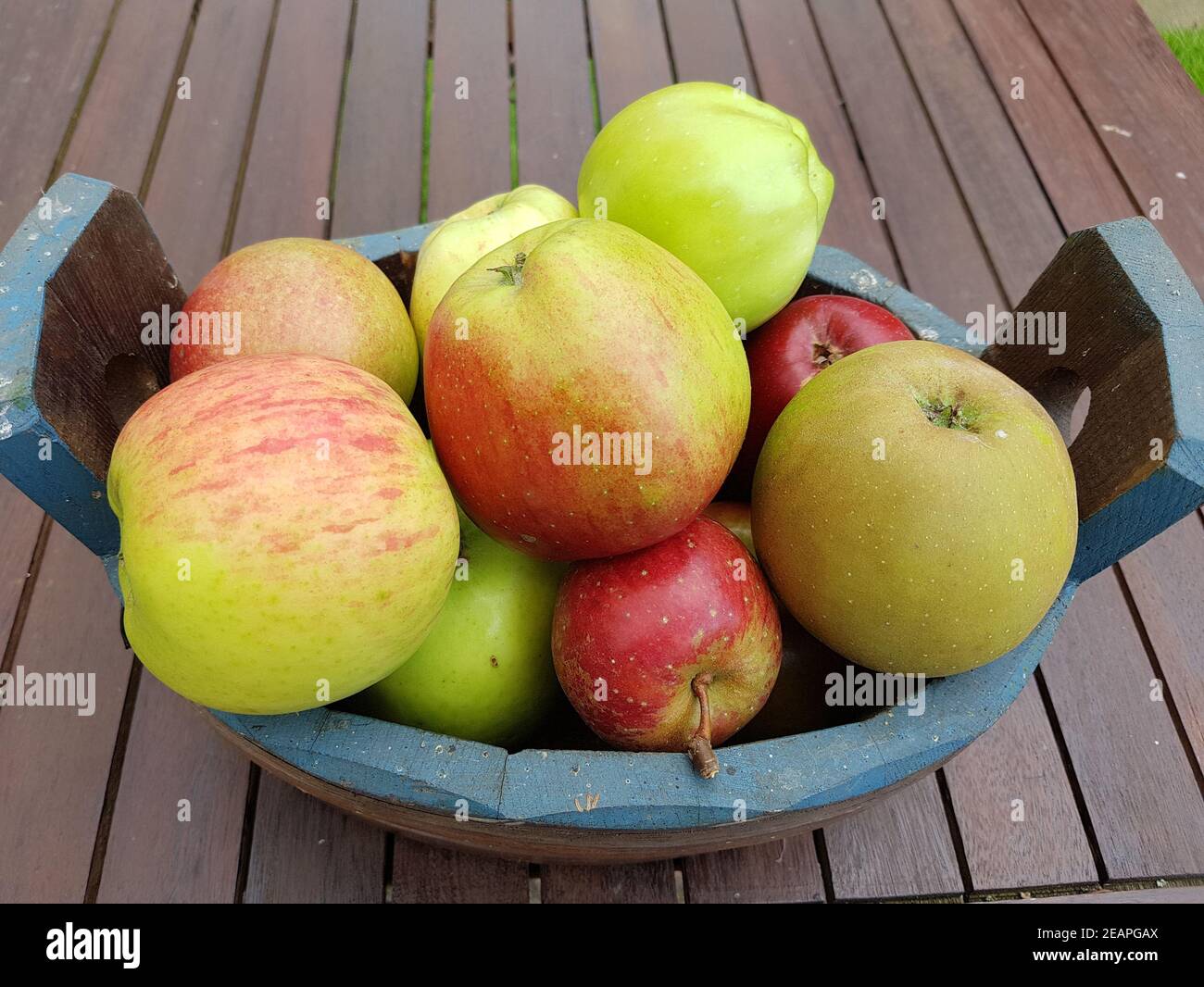 Alte apfelsorten hi-res stock photography and images - Alamy