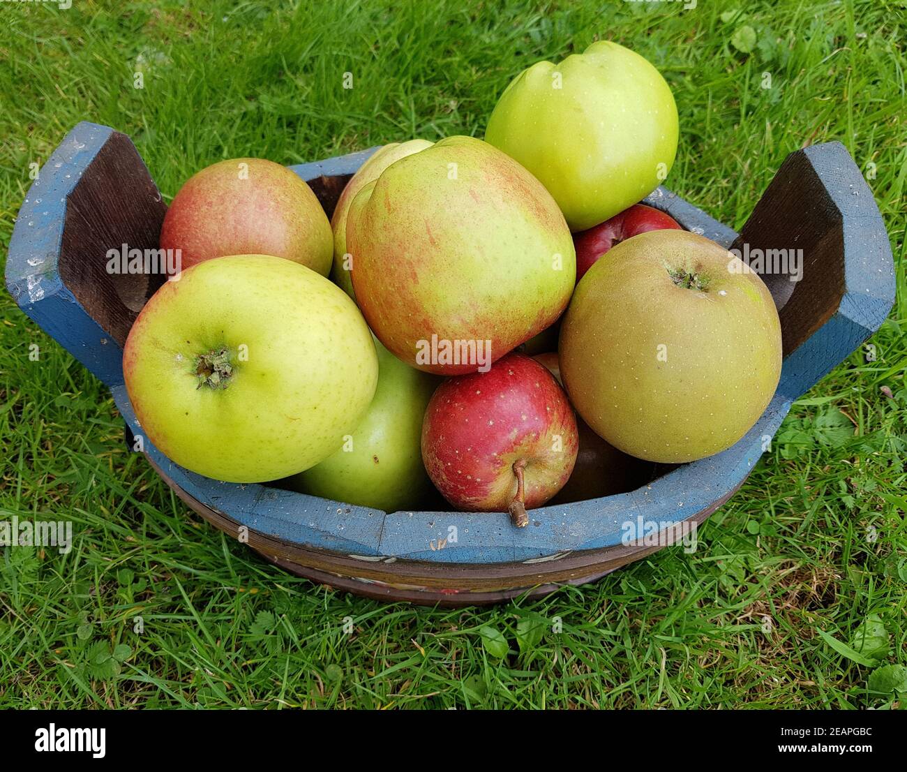 Alte Apfelsorten High Resolution Stock Photography and Images - Alamy