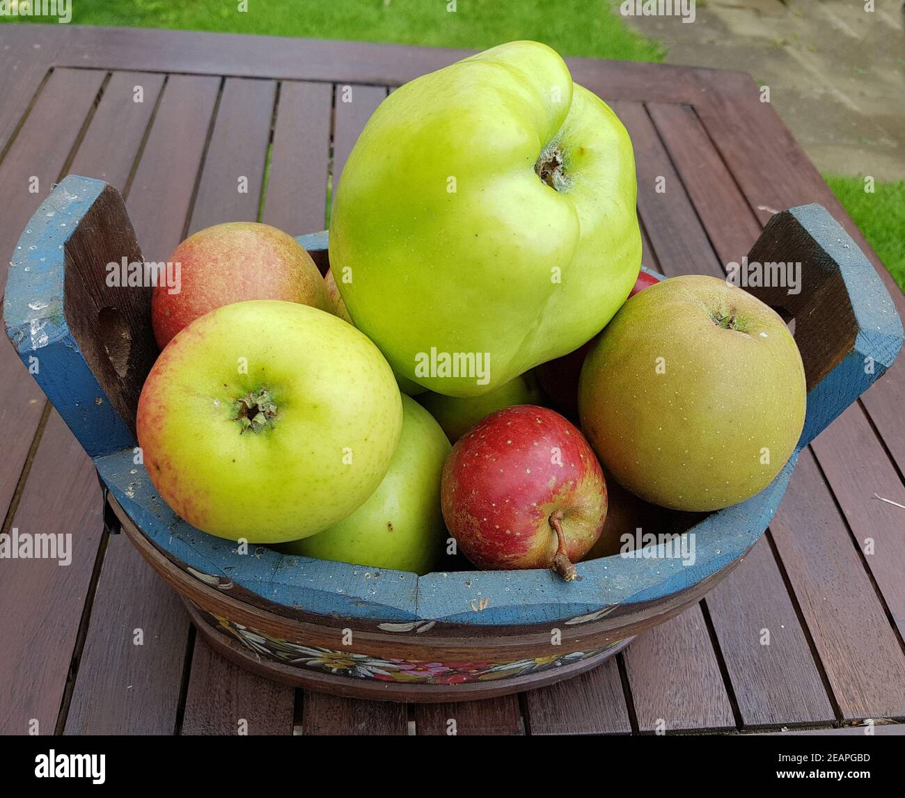 Alte Apfelsorten, verschiedene, Apfel, Malus, domestica Stock Photo - Alamy