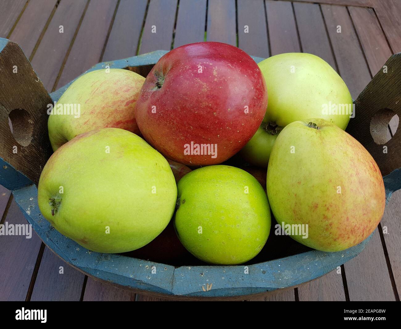 Alte Apfelsorten, verschiedene, Apfel, Malus, domestica Stock Photo - Alamy