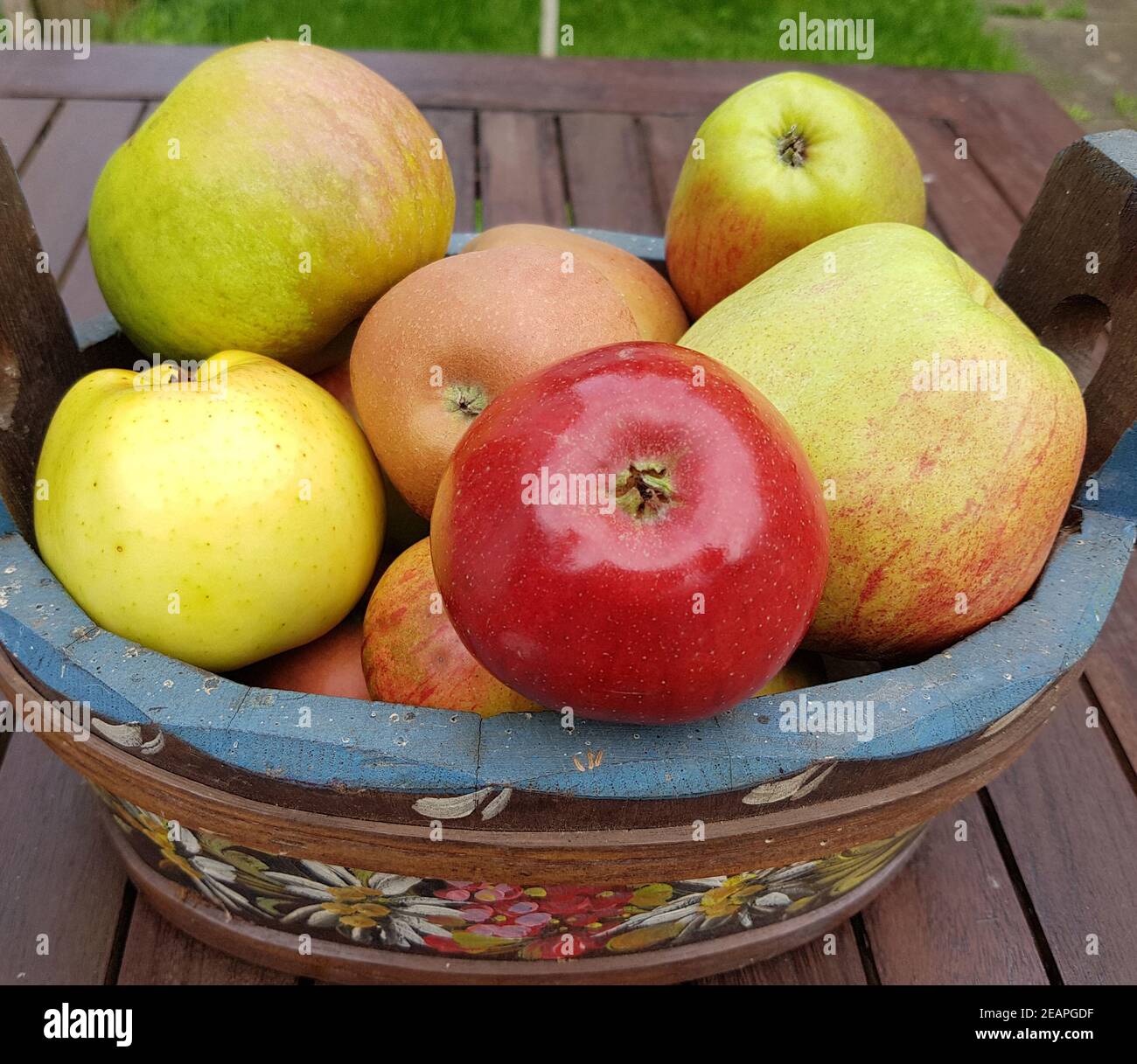 Alte Apfelsorten, verschiedene, Apfel, Malus, domestica, Aepfel Stock ...