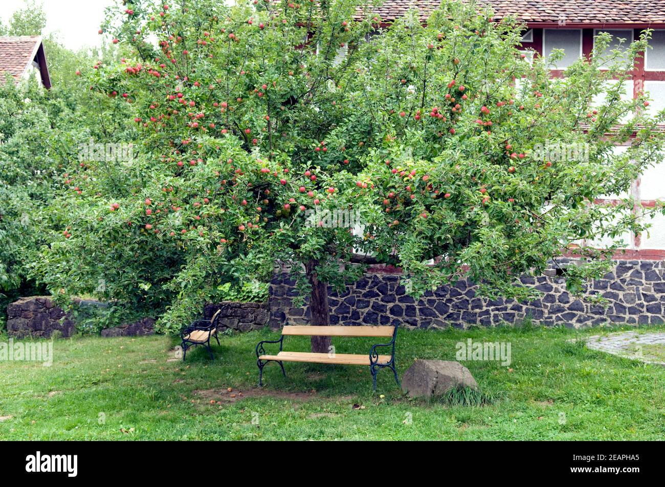 Apfelbaum hi-res stock photography and images - Alamy