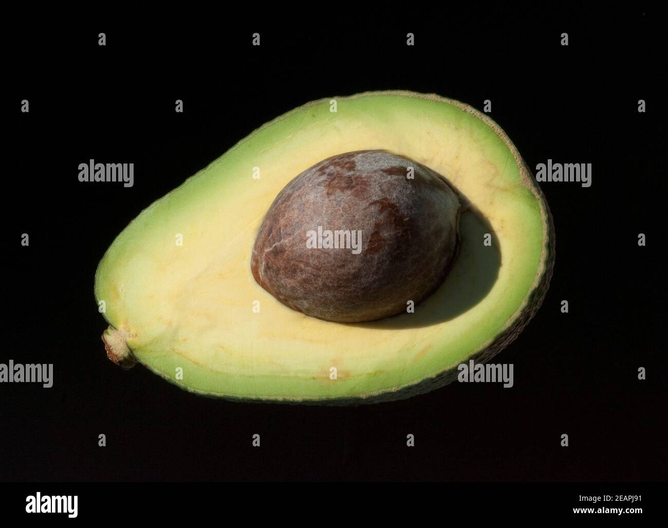 Avocado, Persea americana, Exotische Frucht, exotisch, Suedfrucht Stock ...