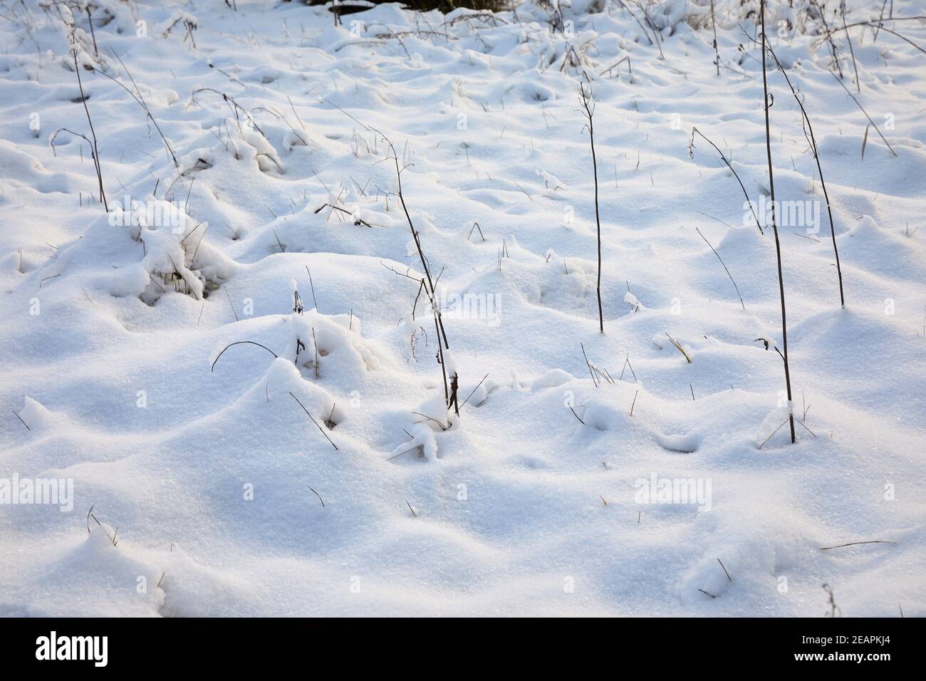Untouched snow cover hi-res stock photography and images - Alamy