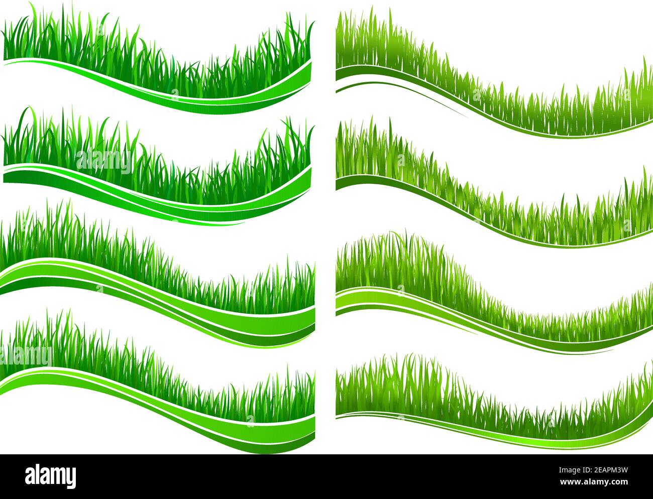 Green colored lawn grass borders isolated on white background for ...