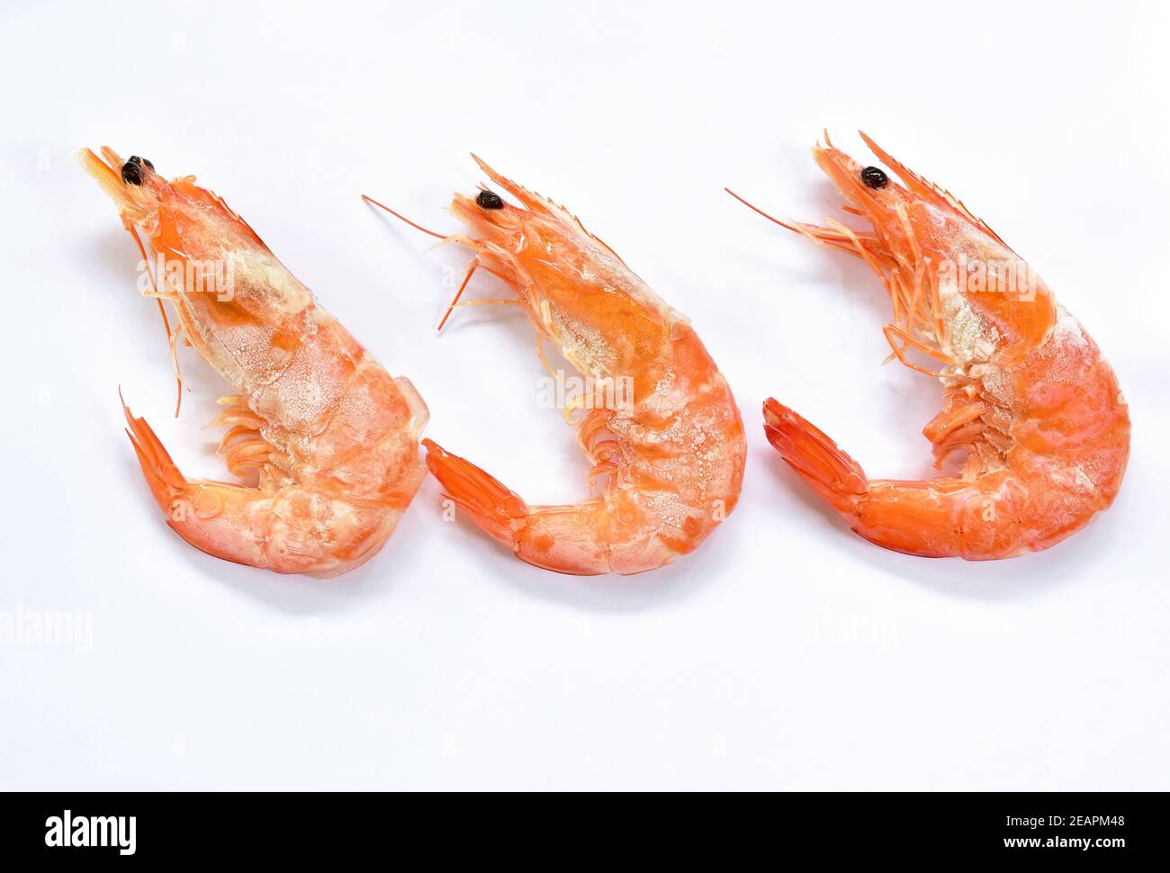 frozen boiled red shrimp food ingredient on white background Stock ...