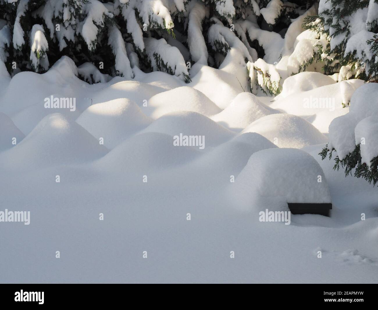 Winter picture with a closed snow cover, using as seasonal background ...