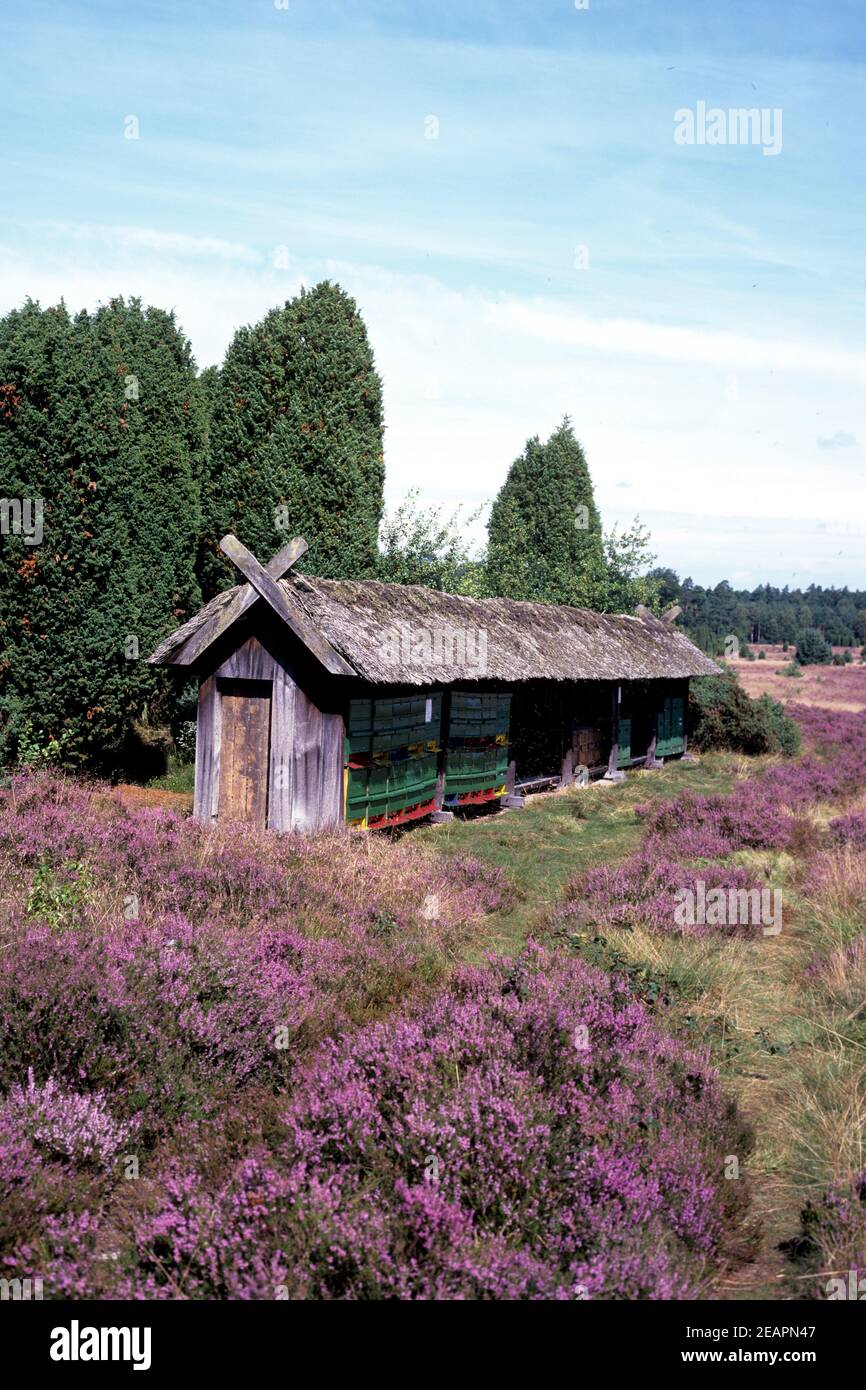 Heide landschaften hi-res stock photography and images - Alamy