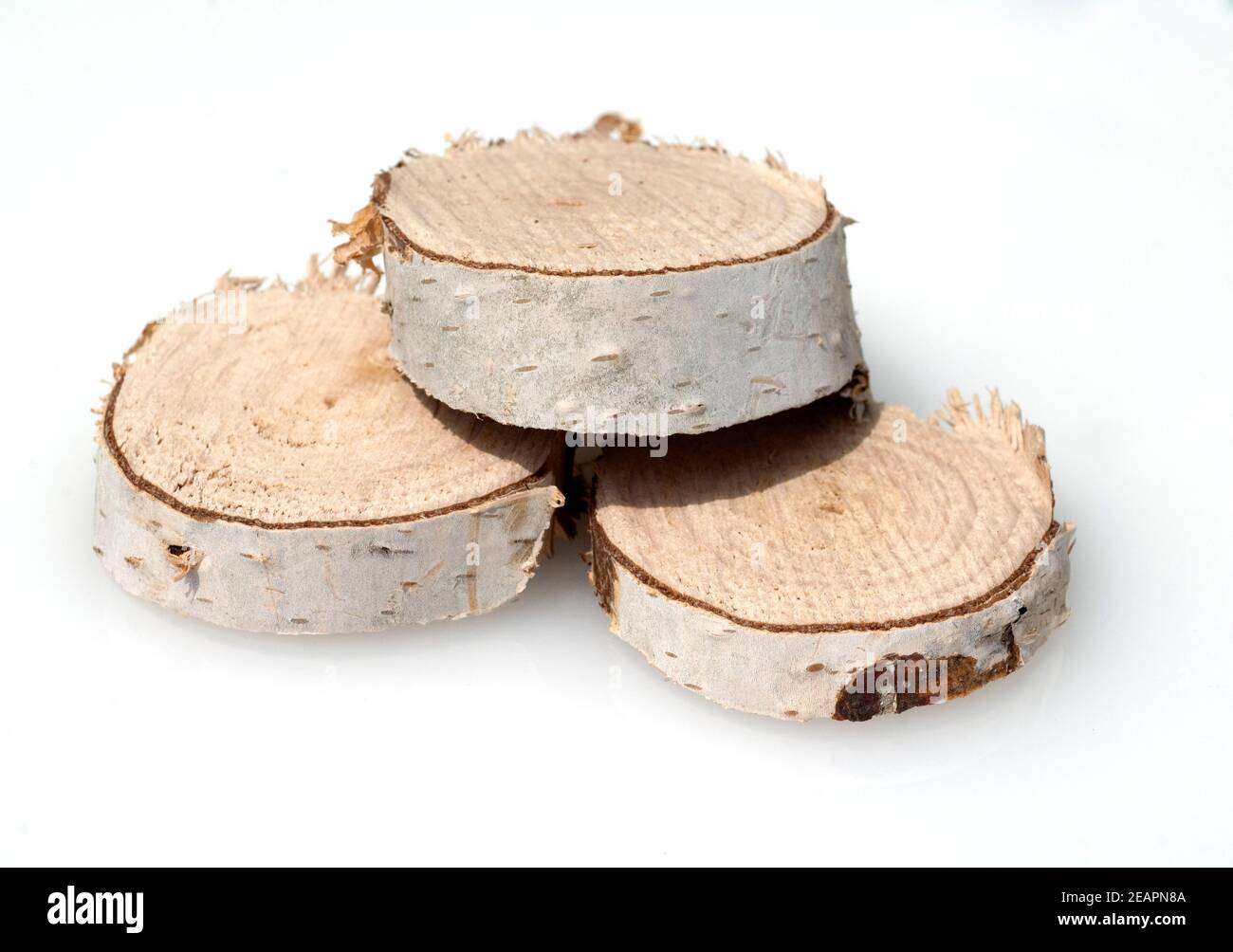 Birkenblaetter, Birkenbaum, Birke, Betula Stock Photo - Alamy