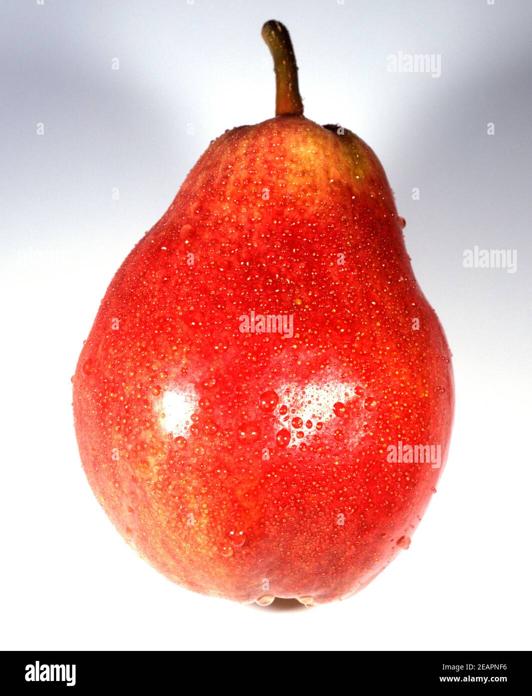 Williams birne hi-res stock photography and images - Alamy