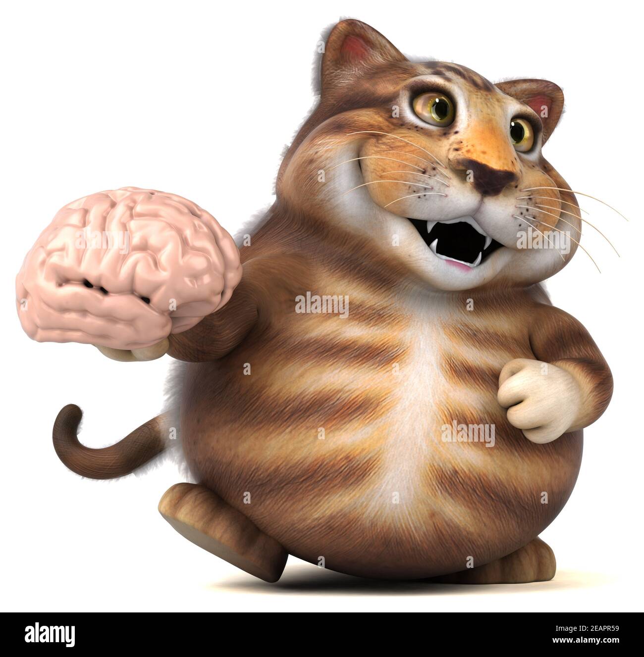 Feline brain hi-res stock photography and images - Alamy
