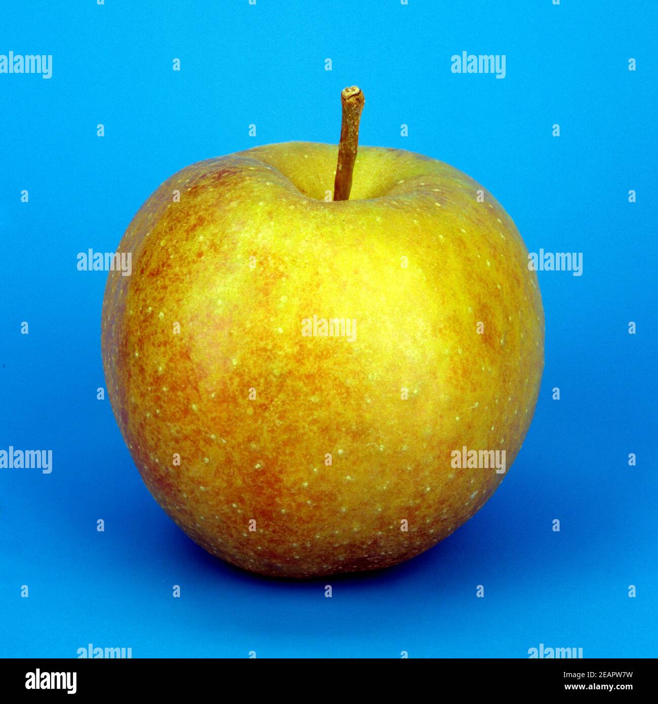 Gruener apfel hi-res stock photography and images - Alamy