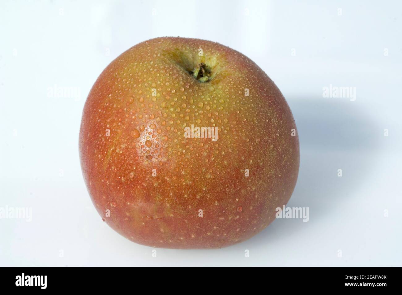 Boskop hi-res stock photography and images - Alamy