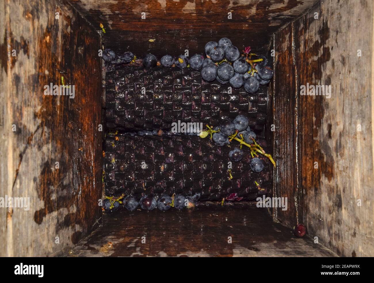 Crushing grapes hi-res stock photography and images - Alamy