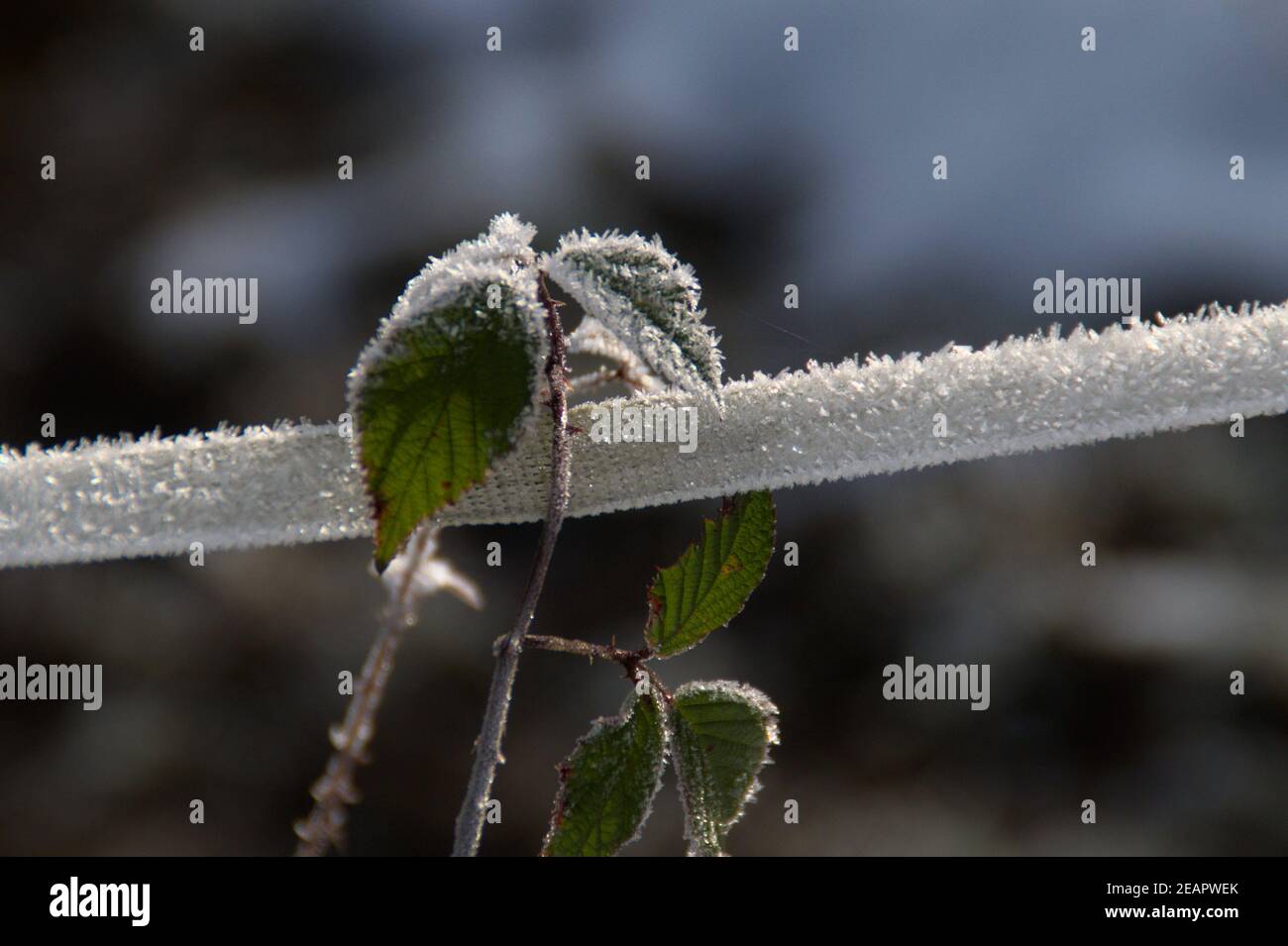 Cold january day hi-res stock photography and images - Alamy