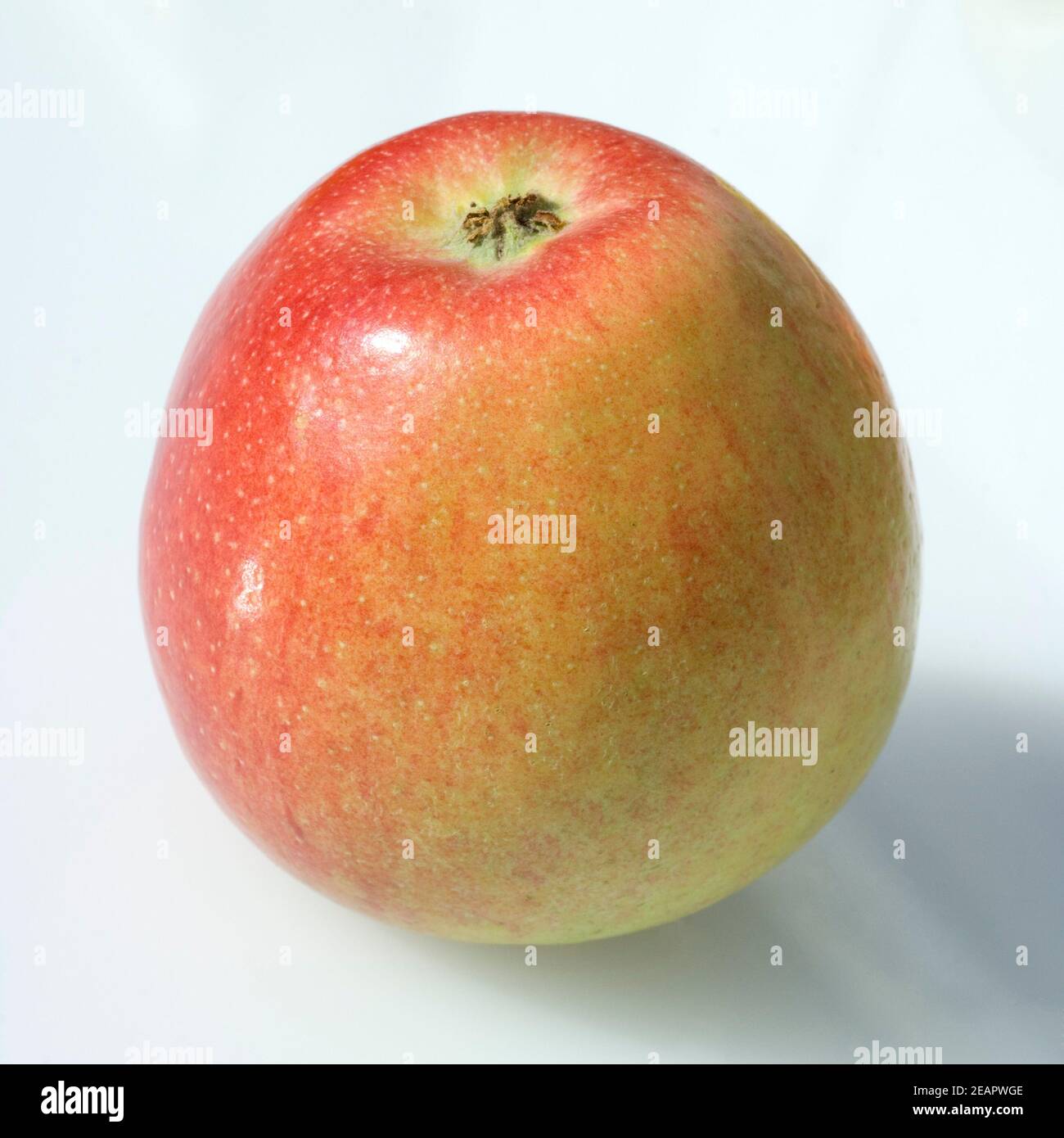 Braeburn High Resolution Stock Photography and Images - Alamy