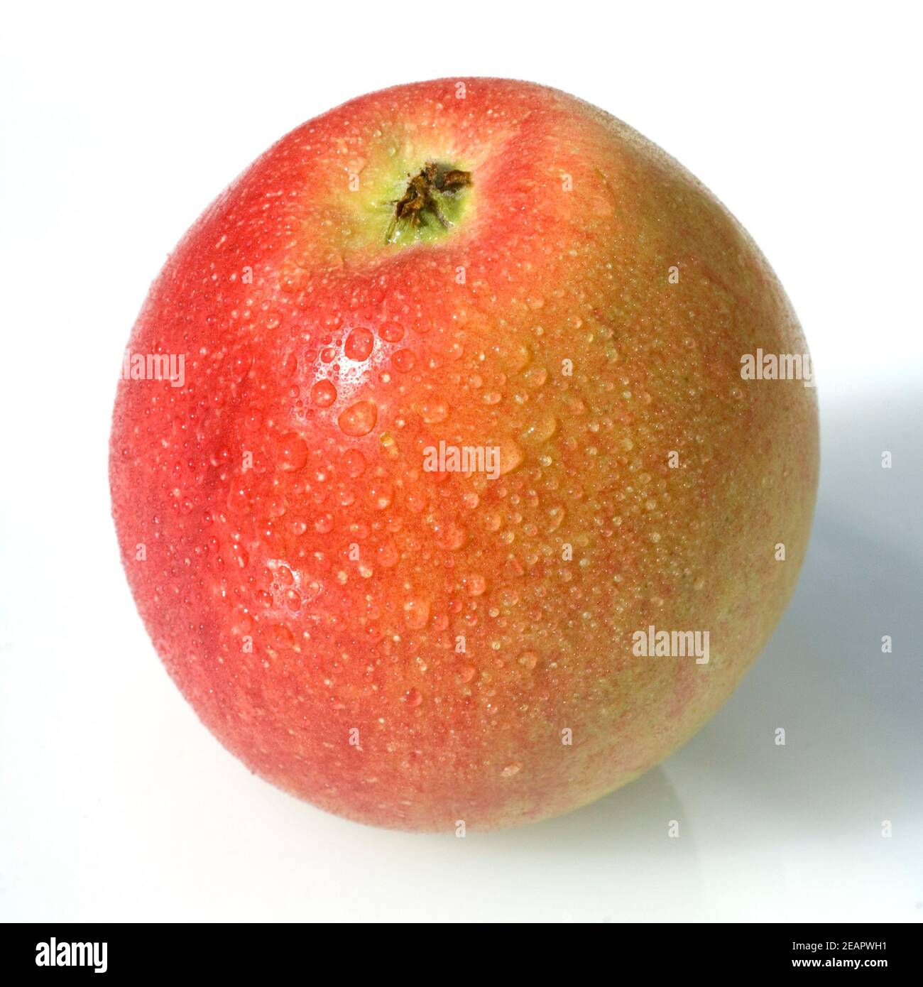 Braeburn Apfel Malus domestica Stock Photo - Alamy