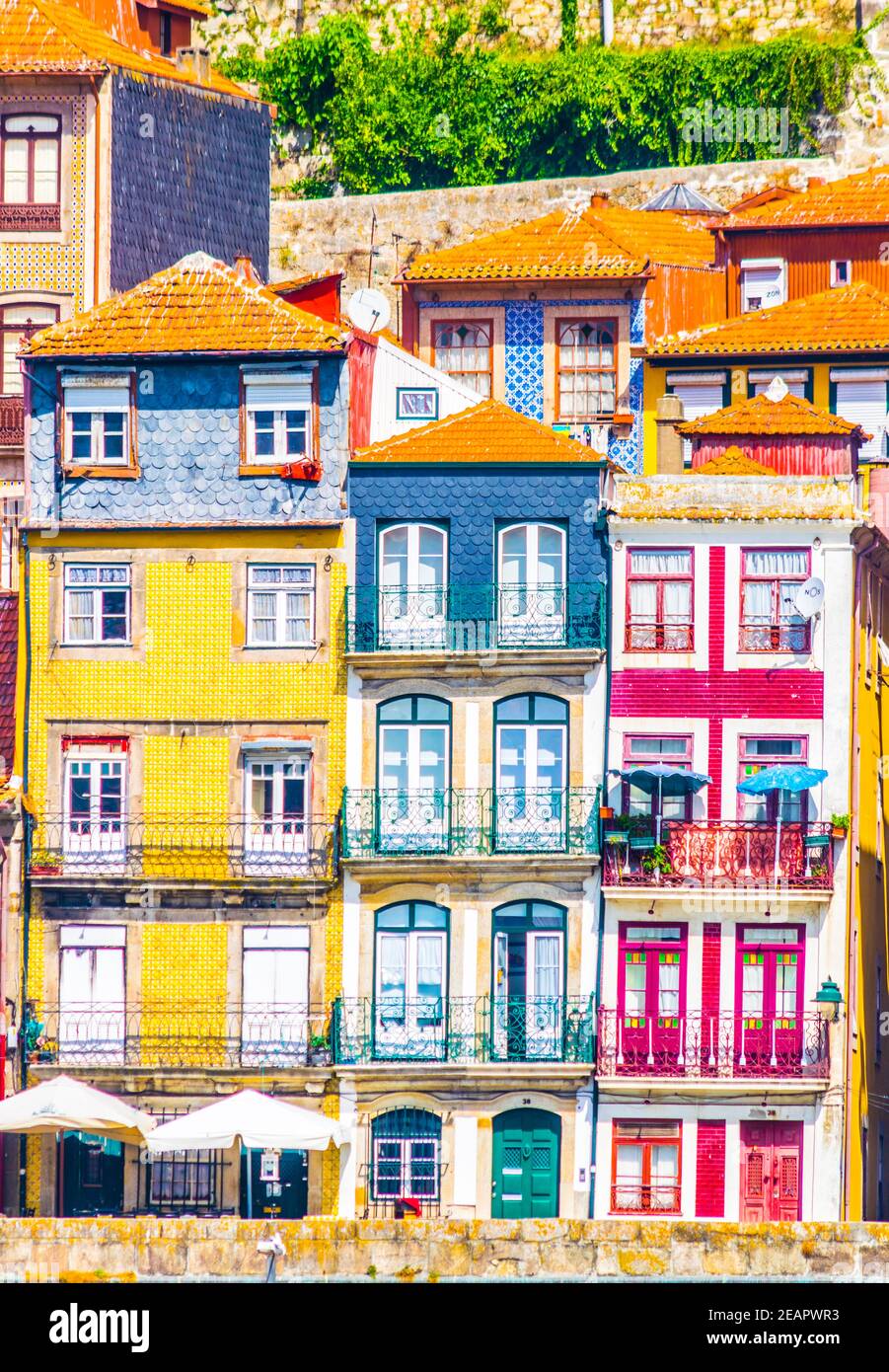Colourful houses along river douro in Porto, Portugal Stock Photo - Alamy