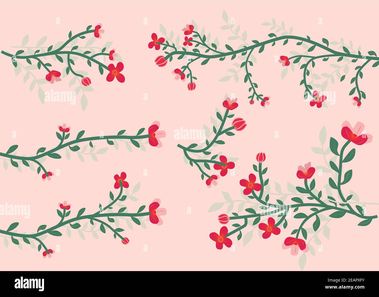 Green eucalyptus branches flower Stock Vector Images - Alamy