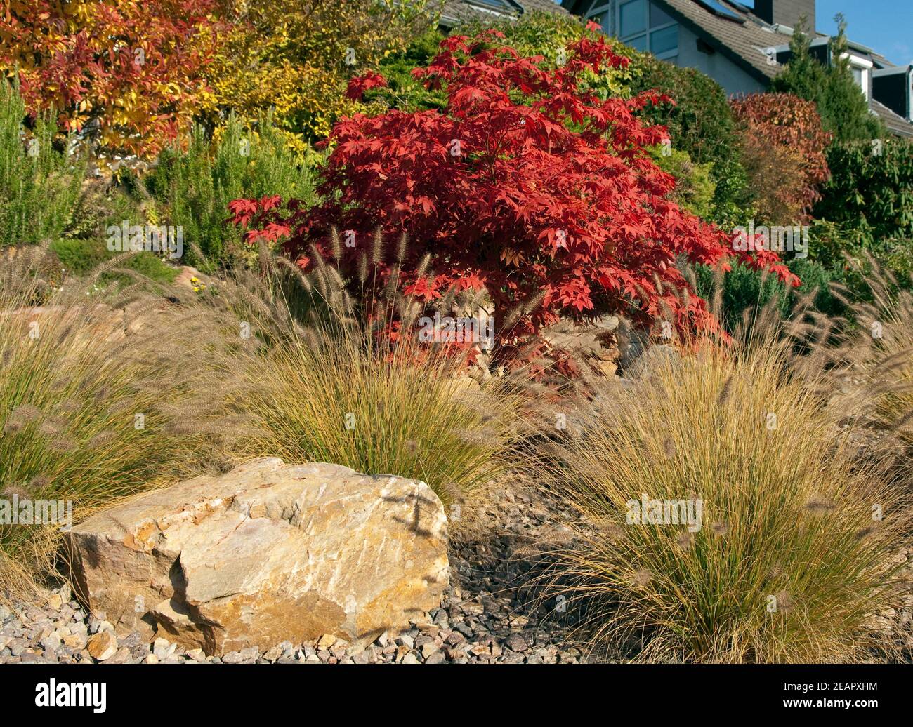 Japanischer steingarten hi-res stock photography and images - Alamy