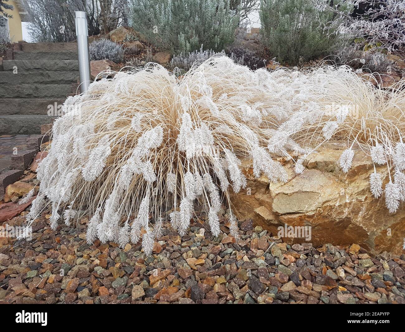 Compressum hi-res stock photography and images - Alamy