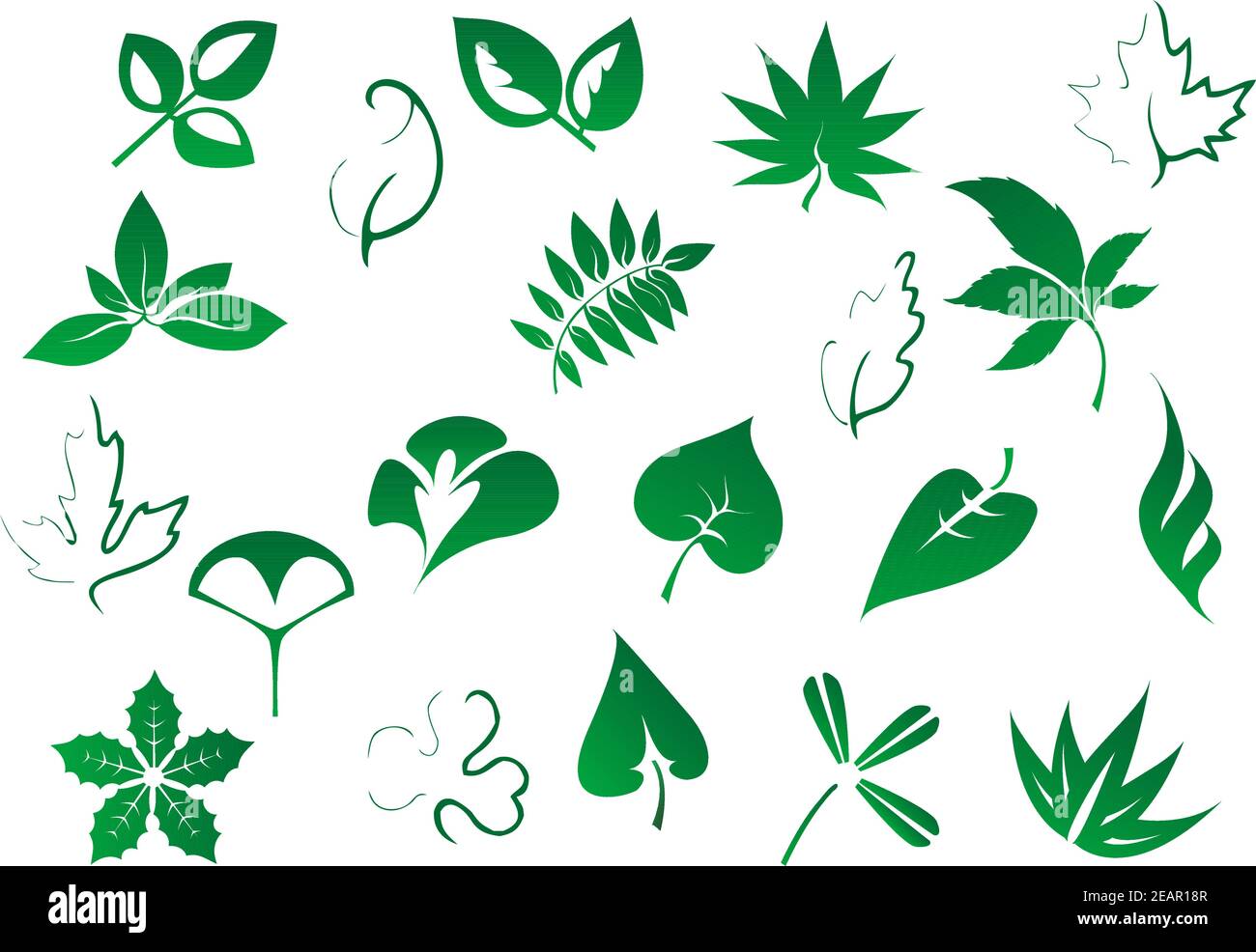 Green tree and plants leaves set isolated on white background for ...