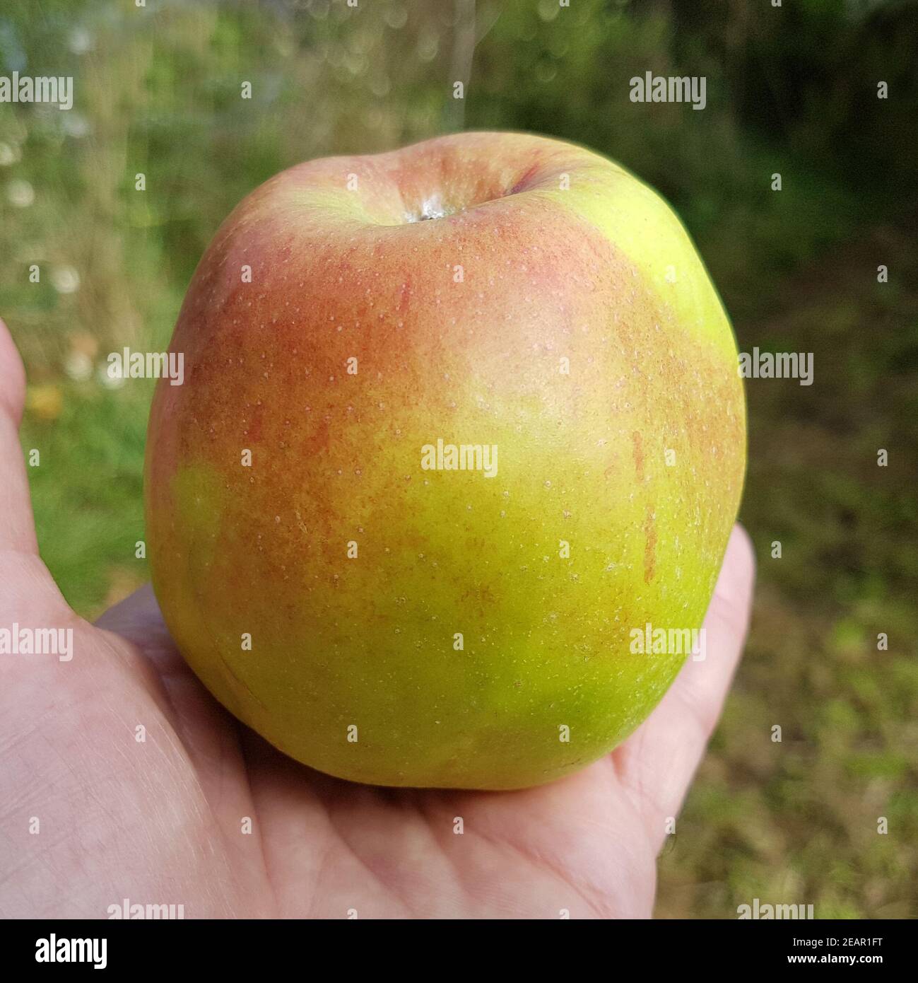 Francoper prince hi-res stock photography and images - Alamy