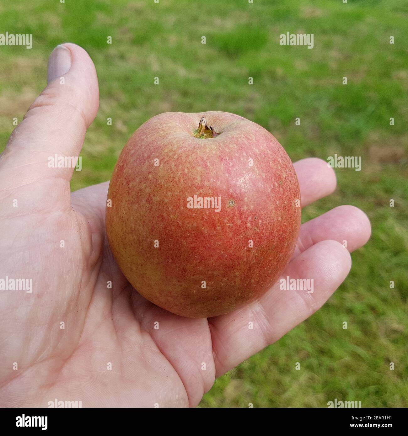 Francoper prinz hi-res stock photography and images - Alamy