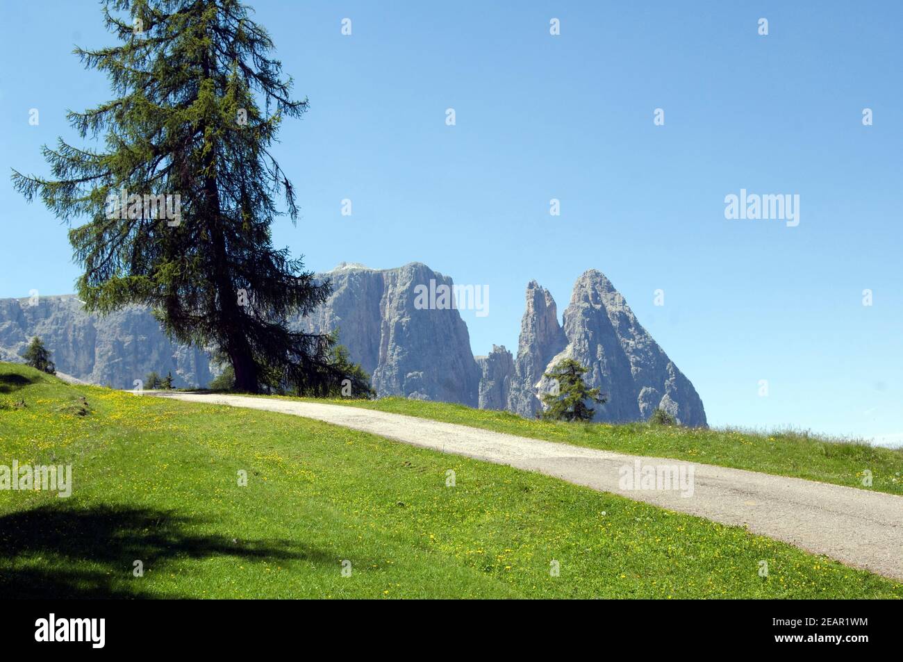 Schlern Seiser Alm Dolomiten, Landschaft - ITA, Italien Stock Photo - Alamy