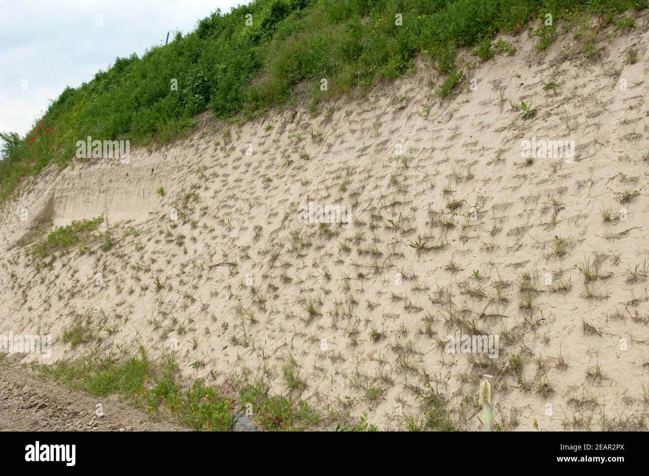 Loess soil hi-res stock photography and images - Alamy